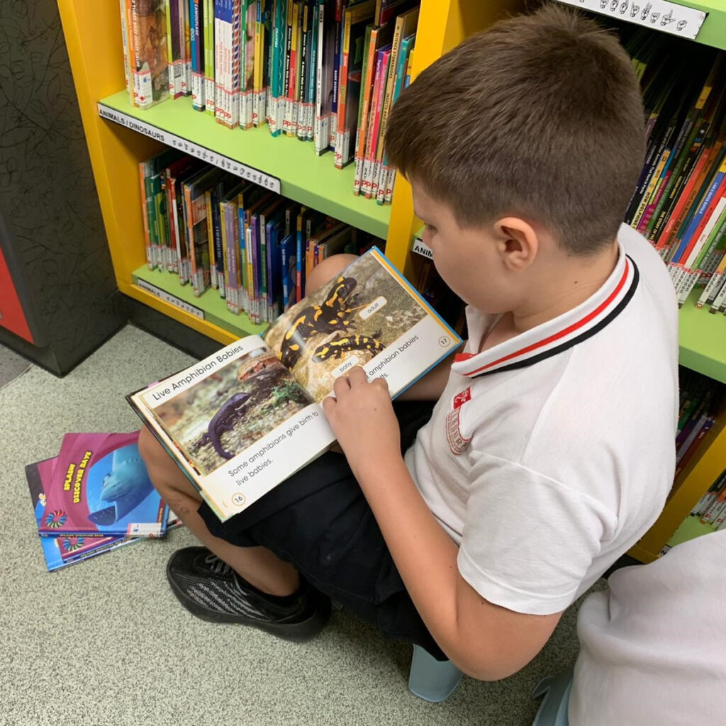 Partners - Melbourne International School